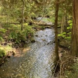 Beaver Lake Loop, Michigan - 125 Reviews, Map | AllTrails