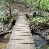 Beaver Lake Loop, Michigan - 125 Reviews, Map | AllTrails