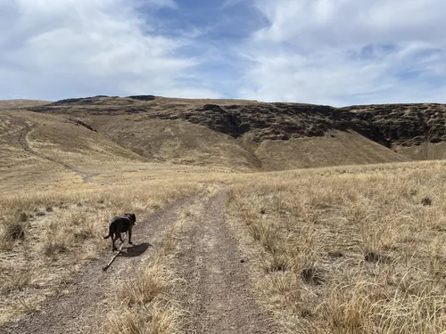 2023 Best River Trails in Marsing | AllTrails