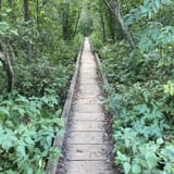 Beaver Lake Loop, Michigan - 126 Reviews, Map | AllTrails