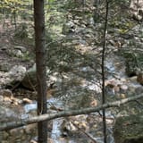 Bondcliff, Mount Bond, and West Bond, New Hampshire - 539 Reviews, Map ...