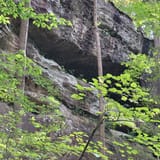Hemlock Cliffs National Scenic Trail, Indiana - 1,138 Reviews, Map ...