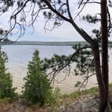 Beaver Lake Loop, Michigan - 126 Reviews, Map | AllTrails