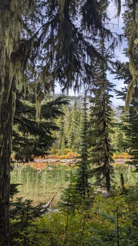 2023 Best Backpacking Trails in Chilliwack Lake Provincial Park | AllTrails