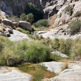 Cahuilla Canyon Trail, California - 550 Reviews, Map | AllTrails