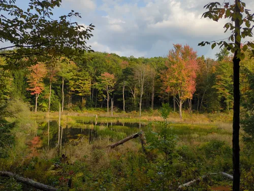 2023 Best Views Trails in Westford | AllTrails