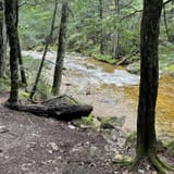 Sabbaday Falls , New Hampshire - 1,331 Reviews, Map | AllTrails