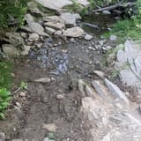 Mormon Island Browns Ravine Trail, California - 504 Reviews, Map ...