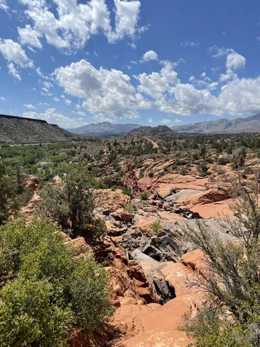 Best Hikes and Trails in Gunlock State Park | AllTrails
