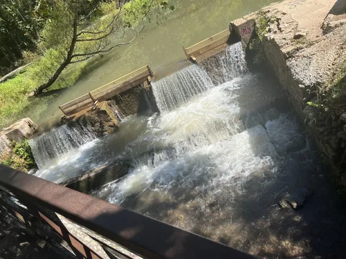 Best Hikes and Trails in Ritter Springs Park | AllTrails