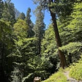 Ice House Canyon Trail, California - 1,628 Reviews, Map | AllTrails