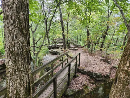 Best Hikes and Trails in Millstone Bluff National Register Site | AllTrails