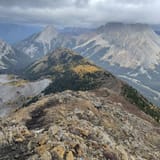 Pocaterra Ridge, Alberta, Canada - 1,115 Reviews, Map | AllTrails