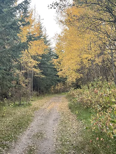 2023 Best 10 Trails, Walks, and Paths in St. Albert | AllTrails