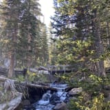 Mitchell Lake Trail, Colorado - 558 Reviews, Map | AllTrails