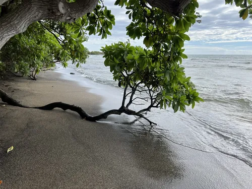 Best Hikes and Trails in Kaloko-Honokohau National Historical Park ...