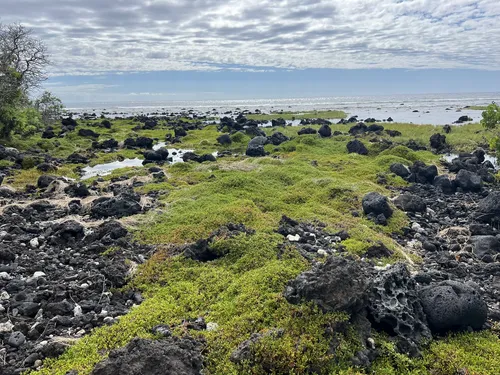 Best Hikes and Trails in Kaloko-Honokohau National Historical Park ...