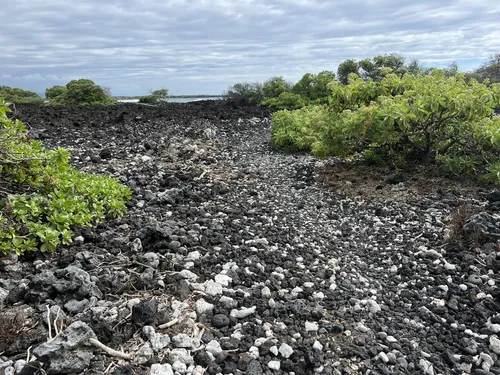 Best Hikes and Trails in Kaloko-Honokohau National Historical Park ...