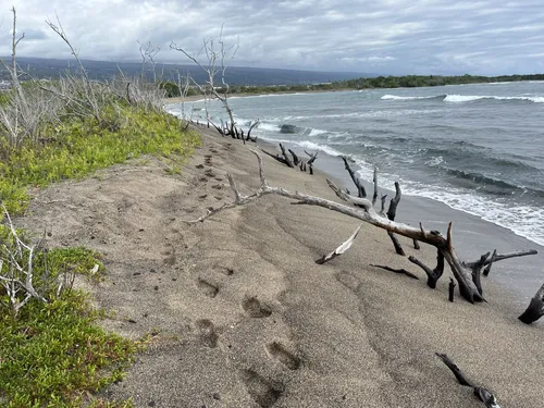 Best Hikes and Trails in Kaloko-Honokohau National Historical Park ...