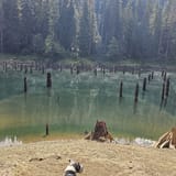 Spider Lake Trail, Washington - 240 Reviews, Map | AllTrails