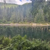 Spider Lake Trail, Washington - 240 Reviews, Map | AllTrails