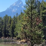 String Lake Trail, Wyoming - 1,971 Reviews, Map | AllTrails