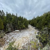 Lester River Trail and Amity East, Minnesota - 814 Reviews, Map | AllTrails