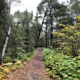 Lester River Trail and Amity East, Minnesota - 814 Reviews, Map | AllTrails