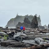 Ruby Beach, Washington - 1,391 Reviews, Map | AllTrails