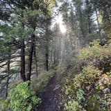 Crimson Trail, Utah - 1,148 Reviews, Map | AllTrails