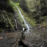 Madison Falls Trail, Washington - 1,573 Reviews, Map | AllTrails