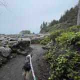 Ruby Beach, Washington - 1,391 Reviews, Map | AllTrails
