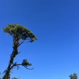 Brevard Zoo Linear Park Trail, Florida - 831 Reviews, Map | AllTrails