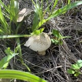 Brevard Zoo Linear Park Trail, Florida - 831 Reviews, Map | AllTrails