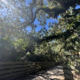 Brevard Zoo Linear Park Trail, Florida - 831 Reviews, Map | AllTrails