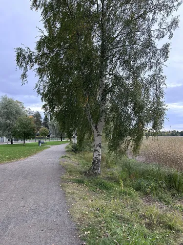 10 Best Beach Trails in North Savo | AllTrails