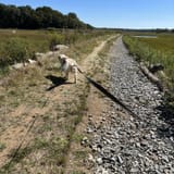 Barn Island Wildlife Management Area Trail, Connecticut - 715 Reviews ...