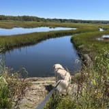 Barn Island Wildlife Management Area Trail, Connecticut - 715 Reviews ...