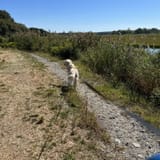Barn Island Wildlife Management Area Trail, Connecticut - 594 Reviews ...