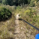 Barn Island Wildlife Management Area Trail, Connecticut - 715 Reviews ...