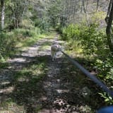 Barn Island Wildlife Management Area Trail, Connecticut - 715 Reviews ...