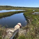 Barn Island Wildlife Management Area Trail, Connecticut - 715 Reviews ...
