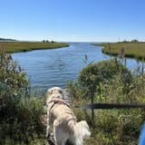 Barn Island Wildlife Management Area Trail, Connecticut - 715 Reviews ...