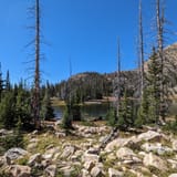 Clyde Lake Loop, Utah - 1,457 Reviews, Map | AllTrails