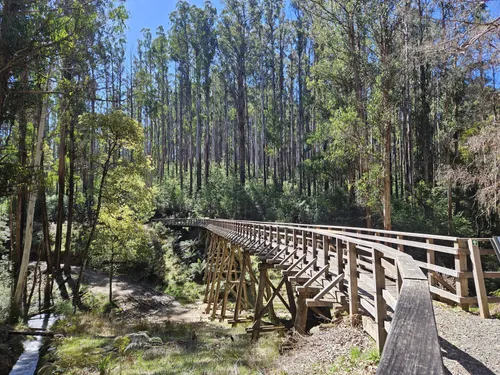 Best River Trails in Rubicon | AllTrails