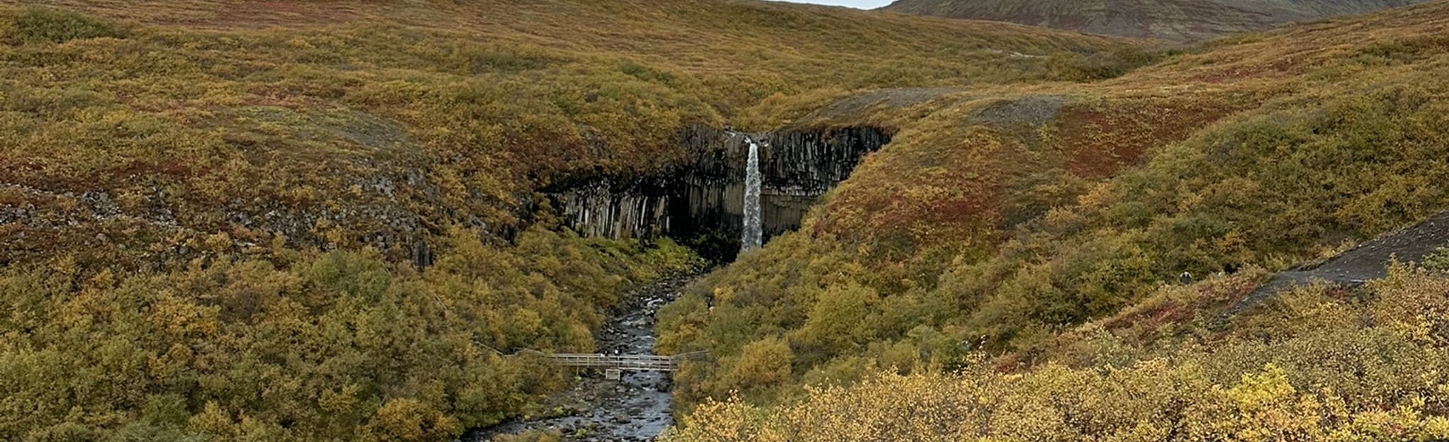 Svartifoss Loop, Eastern, Iceland - 98 Reviews, Map | AllTrails