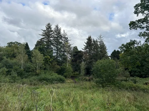 Best Hikes and Trails in Cammo Estate Local Nature Reserve | AllTrails