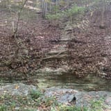 Rock Hollow Trail, Missouri - 1,329 Reviews, Map | AllTrails