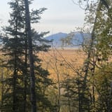 Scout Ridge Trail, Alaska - 280 Reviews, Map | AllTrails