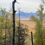 Scout Ridge Trail, Alaska - 280 Reviews, Map | AllTrails